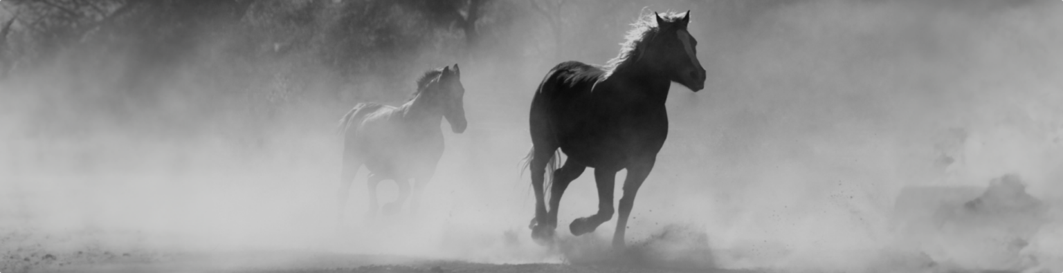 Business Lawyers NSW QLD ACT - Australia | Stacks Law Firm