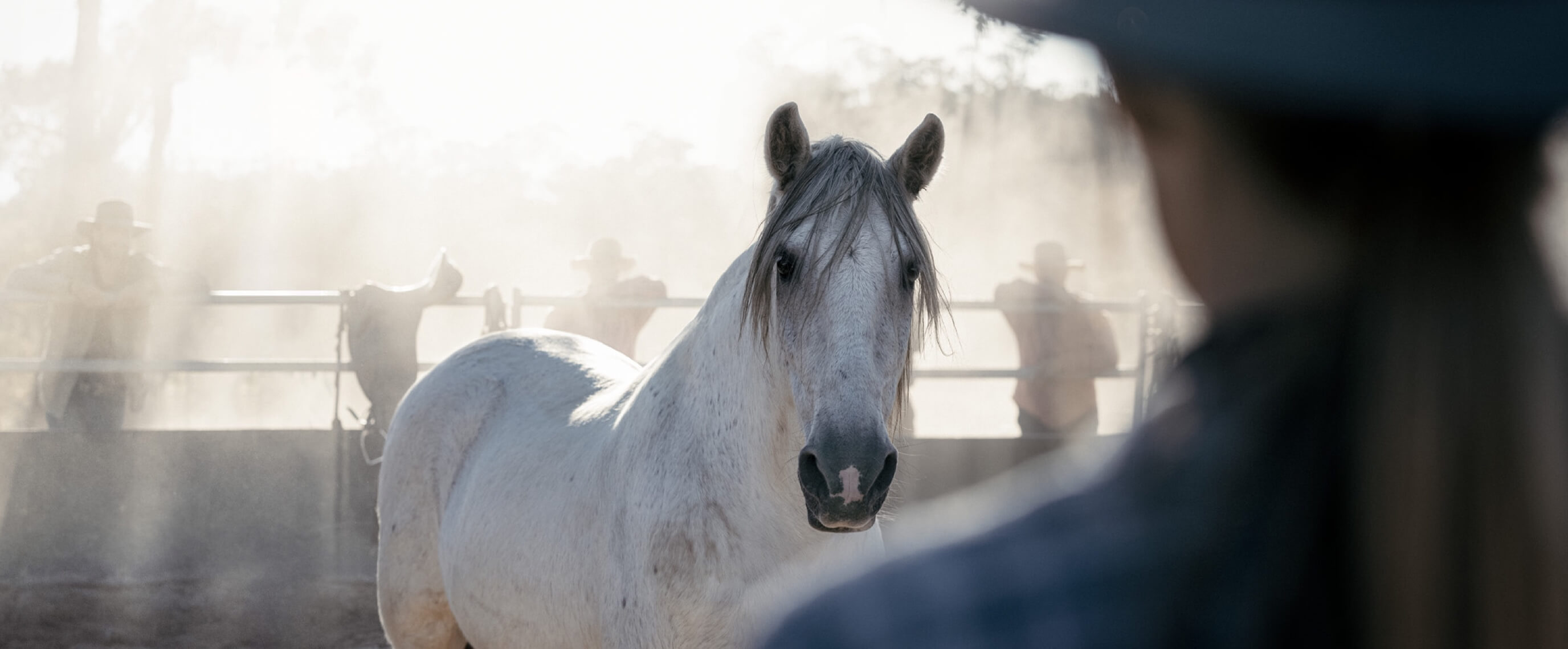 Stacks Law Firm | Lawyers NSW QLD ACT - Australia