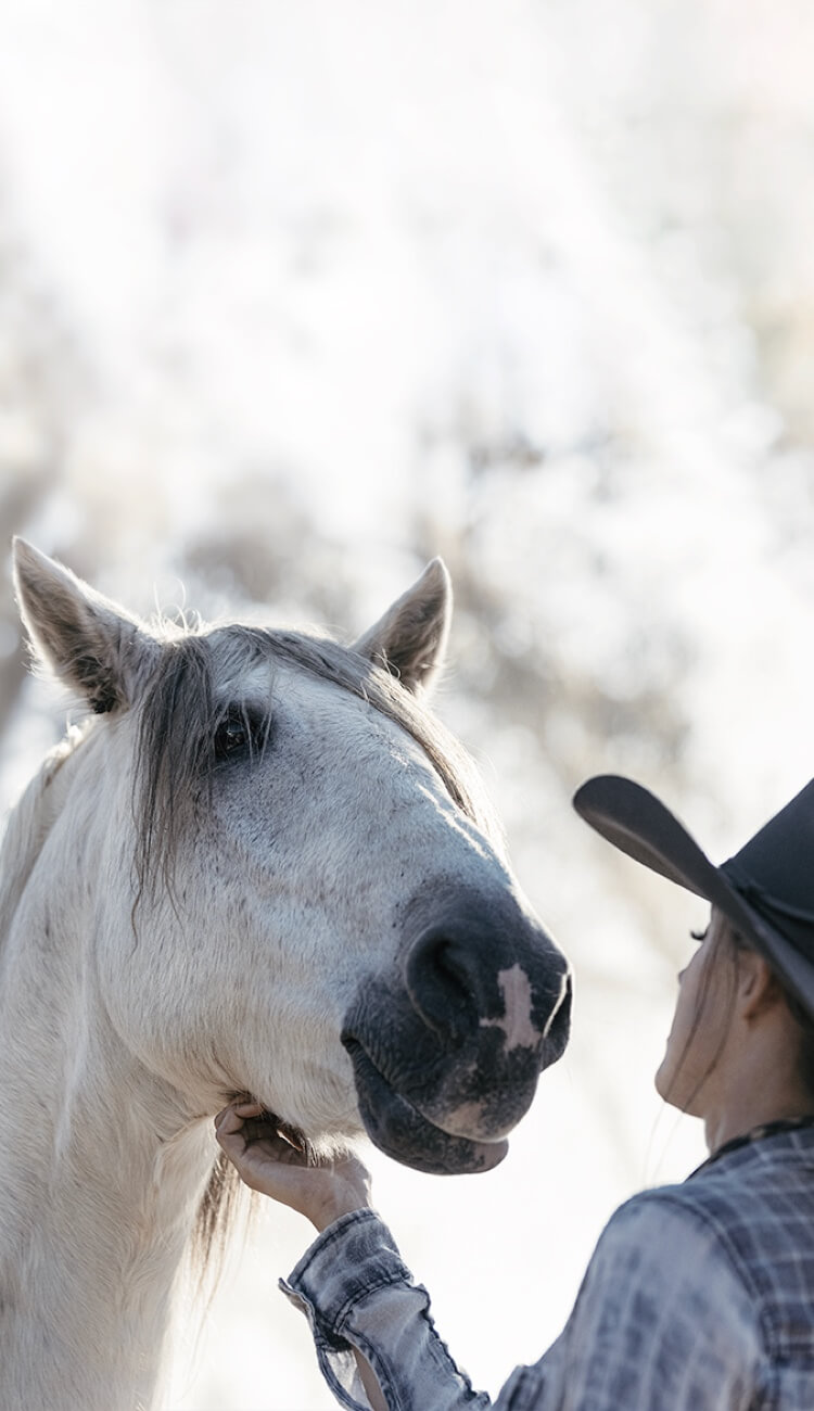 Stacks Law Firm | Lawyers NSW QLD ACT - Australia